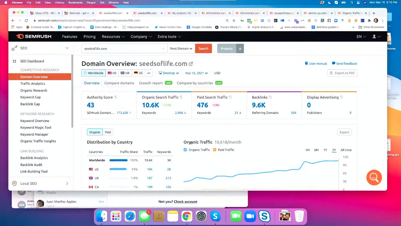 Use SEMRush’s Domain Overview and Google to Understand